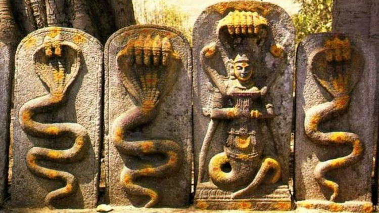 HEATHEN , PAGAN, SAVAGE , SUPERSTITIOUS SNAKE CHARMER VADAKAYIL’S LAST ...